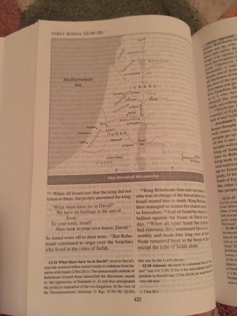 Catholic Bibles: First Look: The Catholic Study Bible (NABRE) 3rd Edition