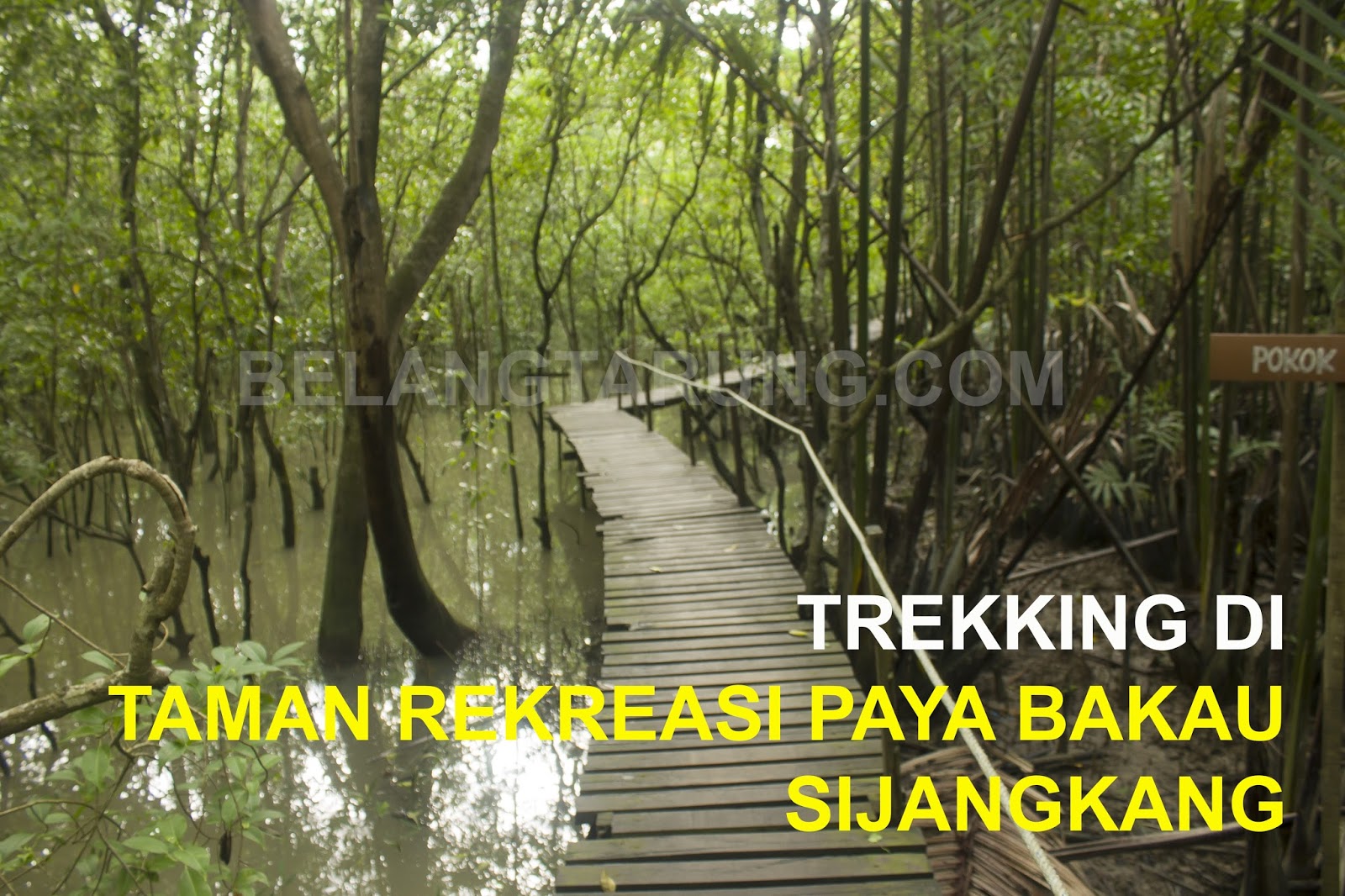 Pengalaman Aktiviti 'Trekking' di Taman Rekreasi Paya Bakau Sijangkang