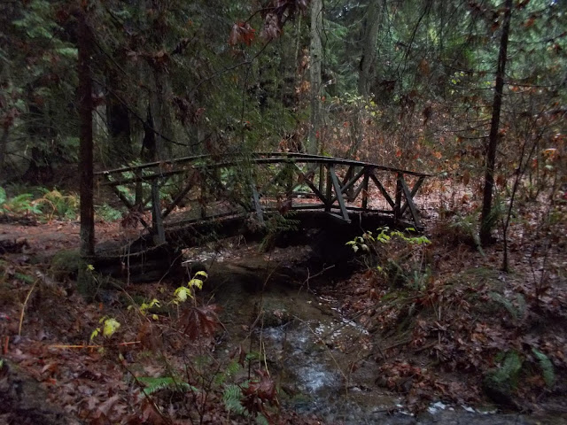 Dave's Multiple Bucket Lists: North Creek Trail