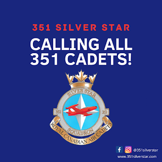 351 Silver Star Squadron - Unionville