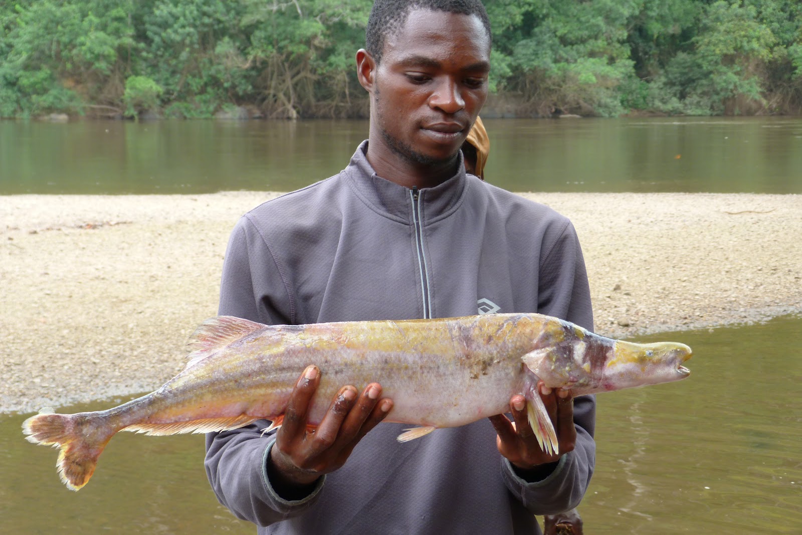 MOKELE - MBEMBE EXPEDITIONS: EXPEDITION TROPHY CAM FEVRIER - MARS 2012 ...
