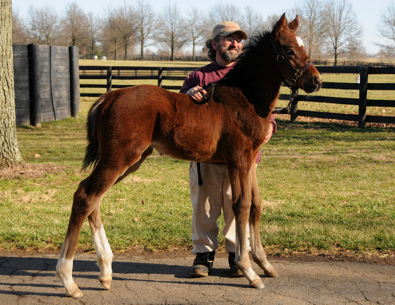 Two Minute Lick: Remembering Mighty Rachel