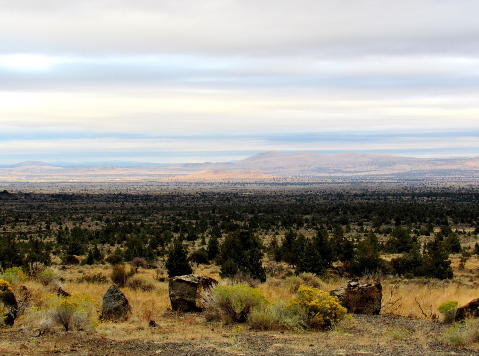 Botanizing on the Modoc Plateau