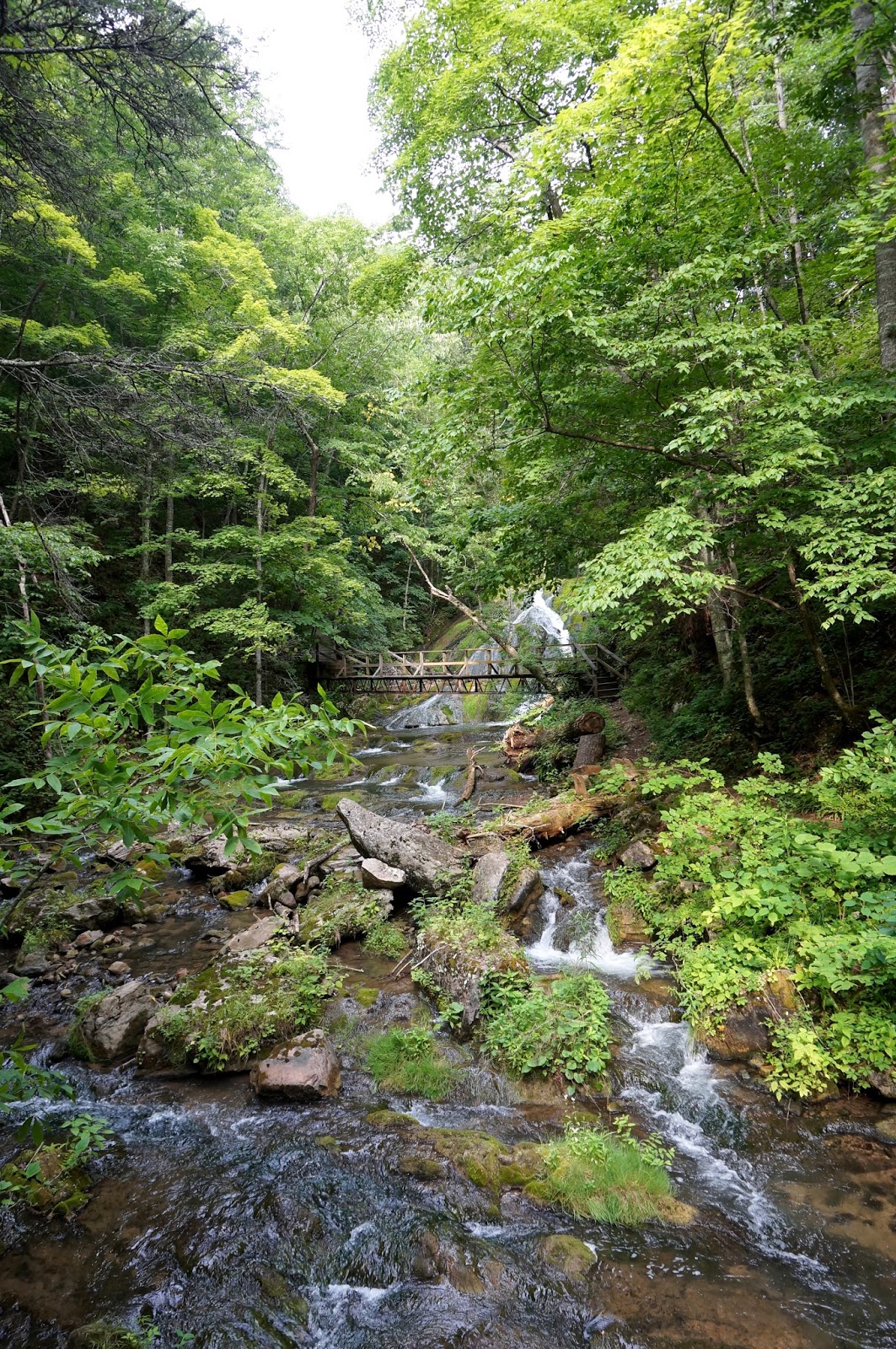 The Curious Lark: Garth Newel :: Waterfall Wanderings