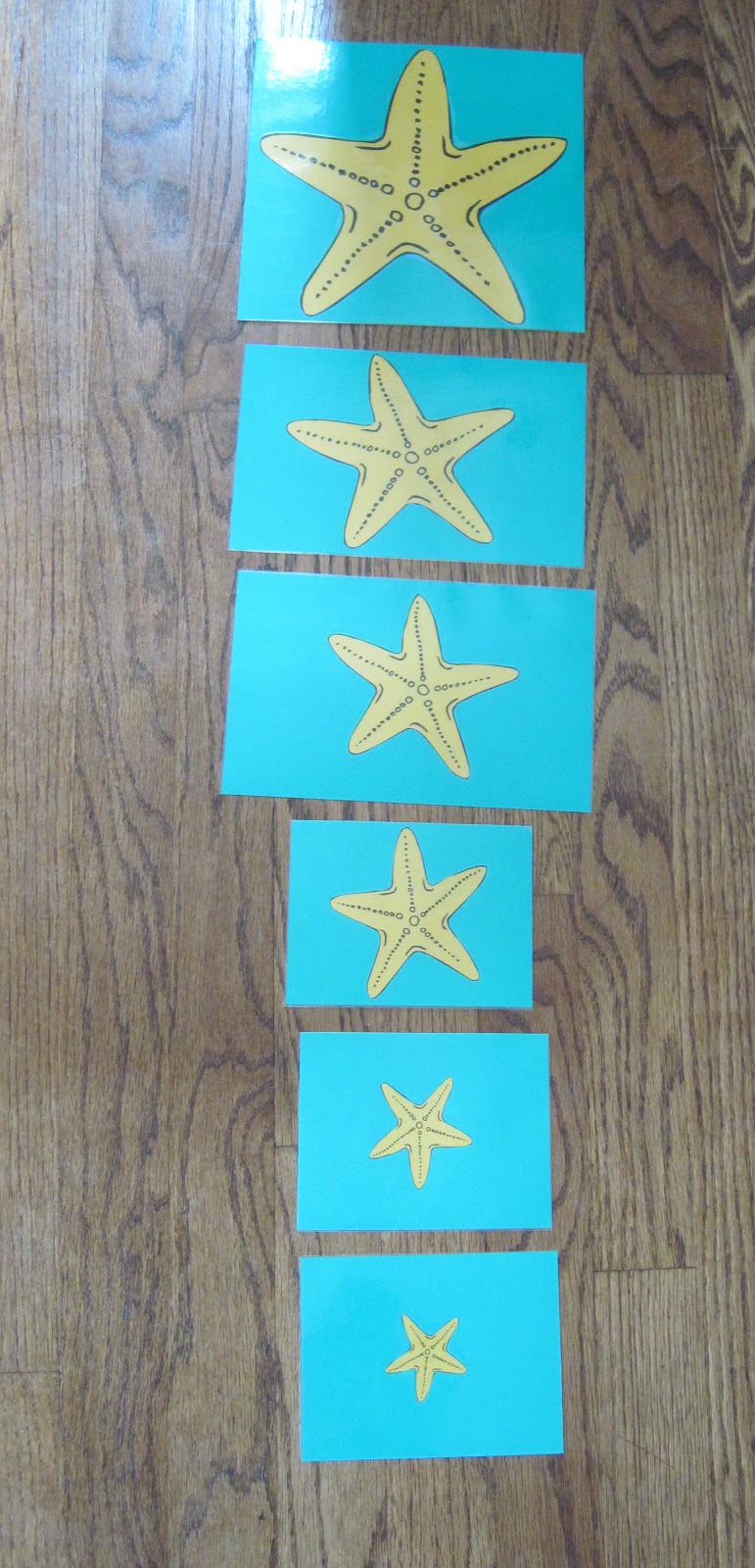 Glitter and Gluesticks Forever: Sea Stars and Seahorses: Ideas for a ...