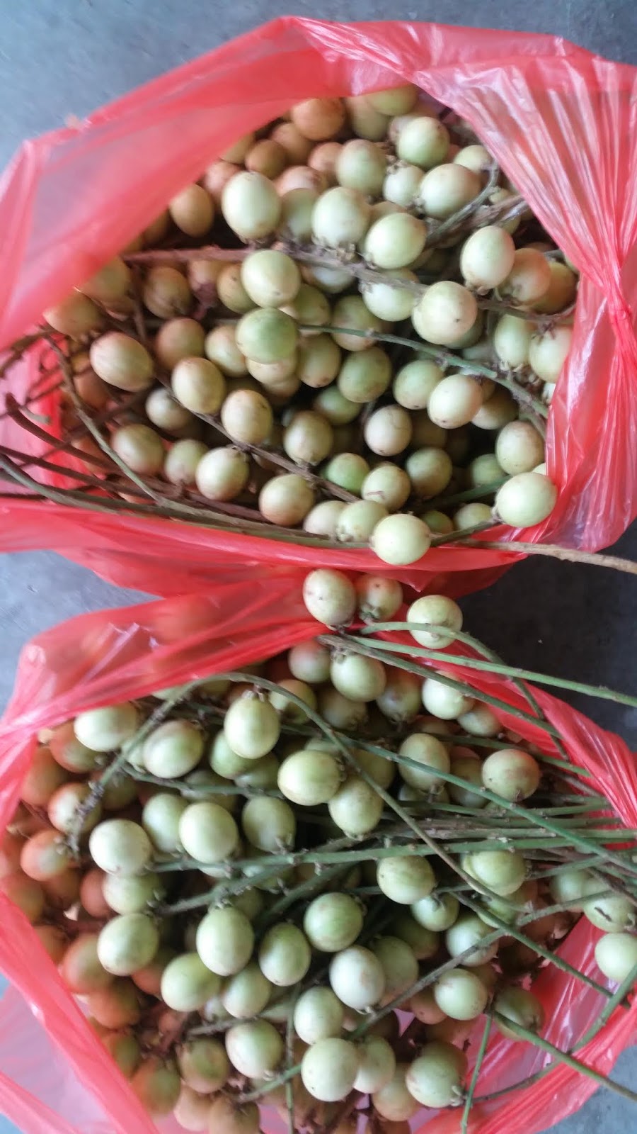 Warisan Petani: Buah Rambai.