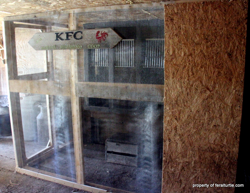 The Feral Turtle: A Chicken Coop Built for Chicken Sitting the KFC way