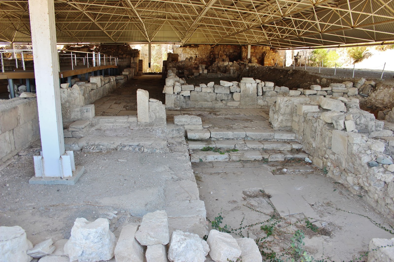 Biodiversity of Cyprus by NGO Protection of the Natural Heritage and ...