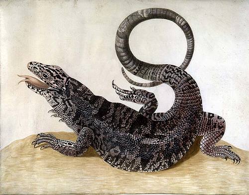 Macumbeira: Homo Diluvii Testis et Theoscopos