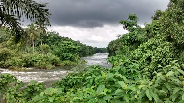 Tamilnadu Tourism: Perunchani Dam, Kalkulam, Kanyakumari