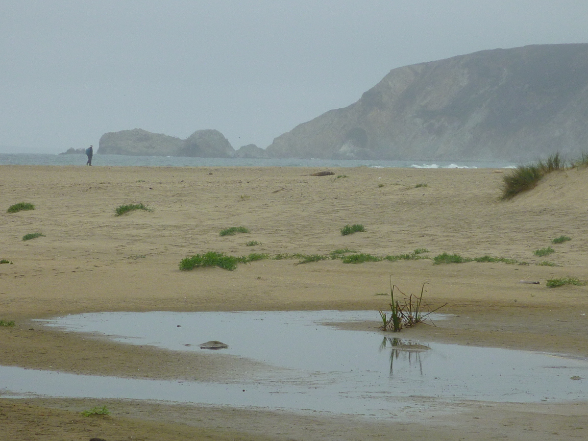 Trailing Ahead: Kehoe Beach Trail