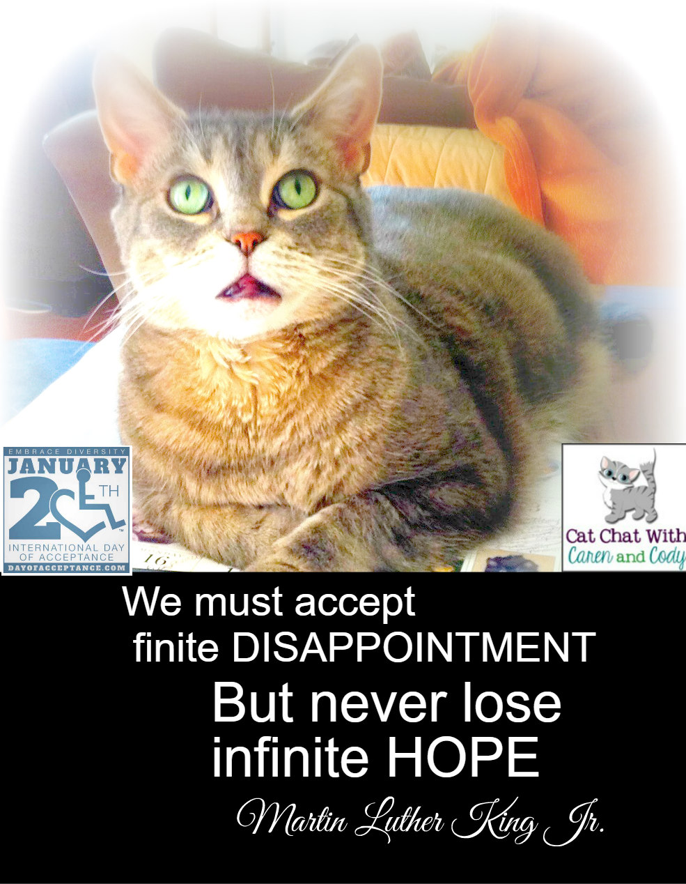 Cat and DOG Chat With Caren: International Day of Acceptance