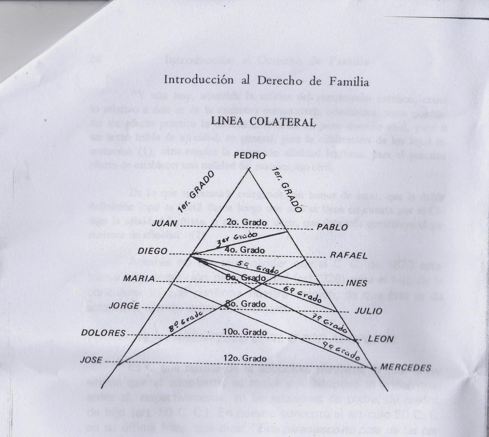 Los Efectos Del Parentesco: 2. CLASES DE PARENTESCO