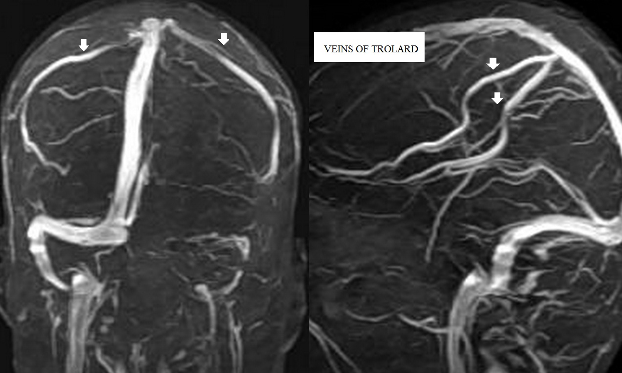 Dr Balaji Anvekar FRCR: 01/05/12 - 01/06/12