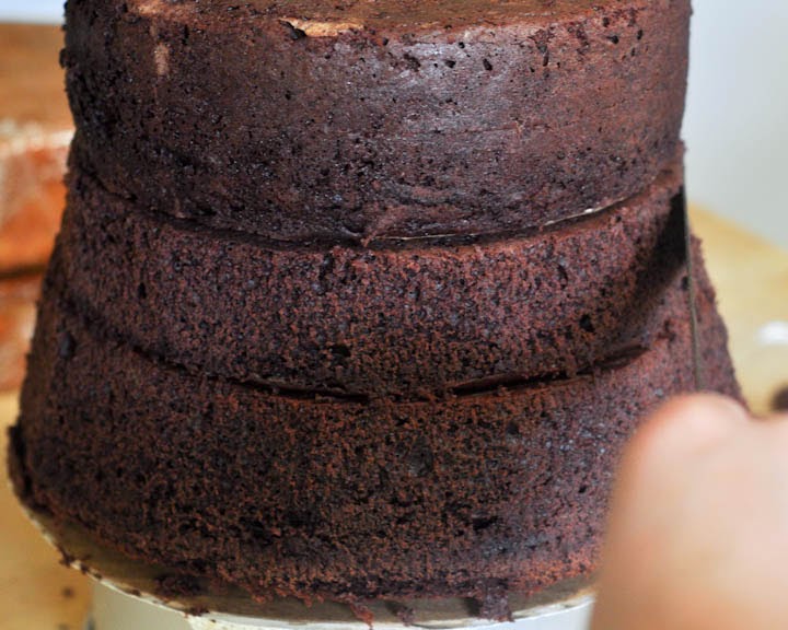 Beki Cook's Cake Blog: Tree Trunk or Tree Stump Cake