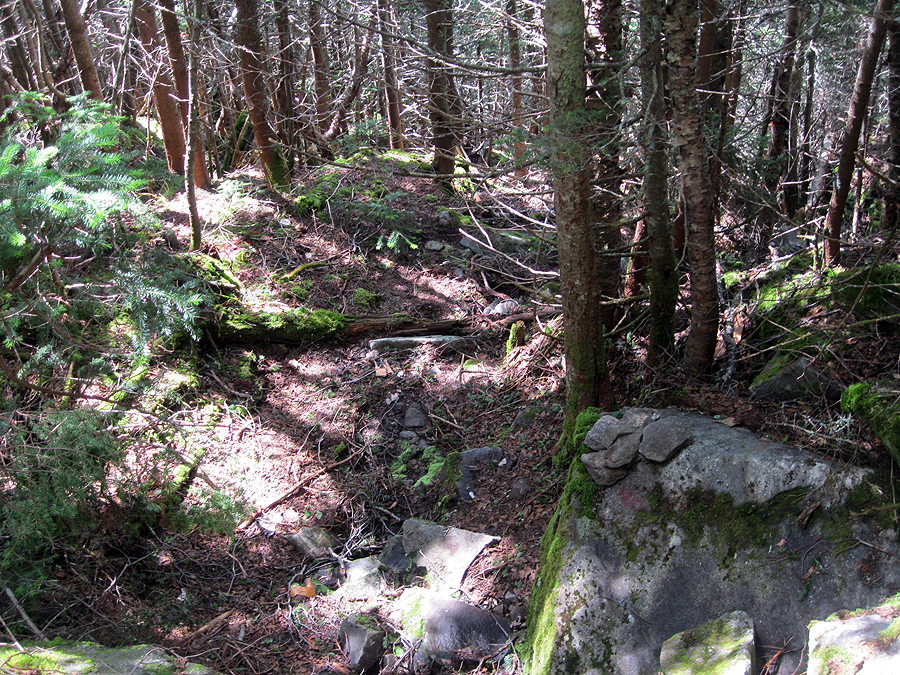 Hiking in the White Mountains: The Abandoned Adams Slide Trail