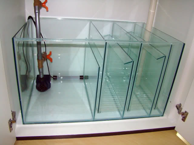 DIY - FVM: Tudo para seu aquário: Sump em funcionamento