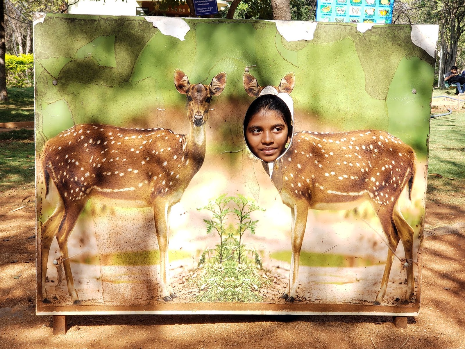 harimohan paruvu: Mrugavani National Park - Chilkur