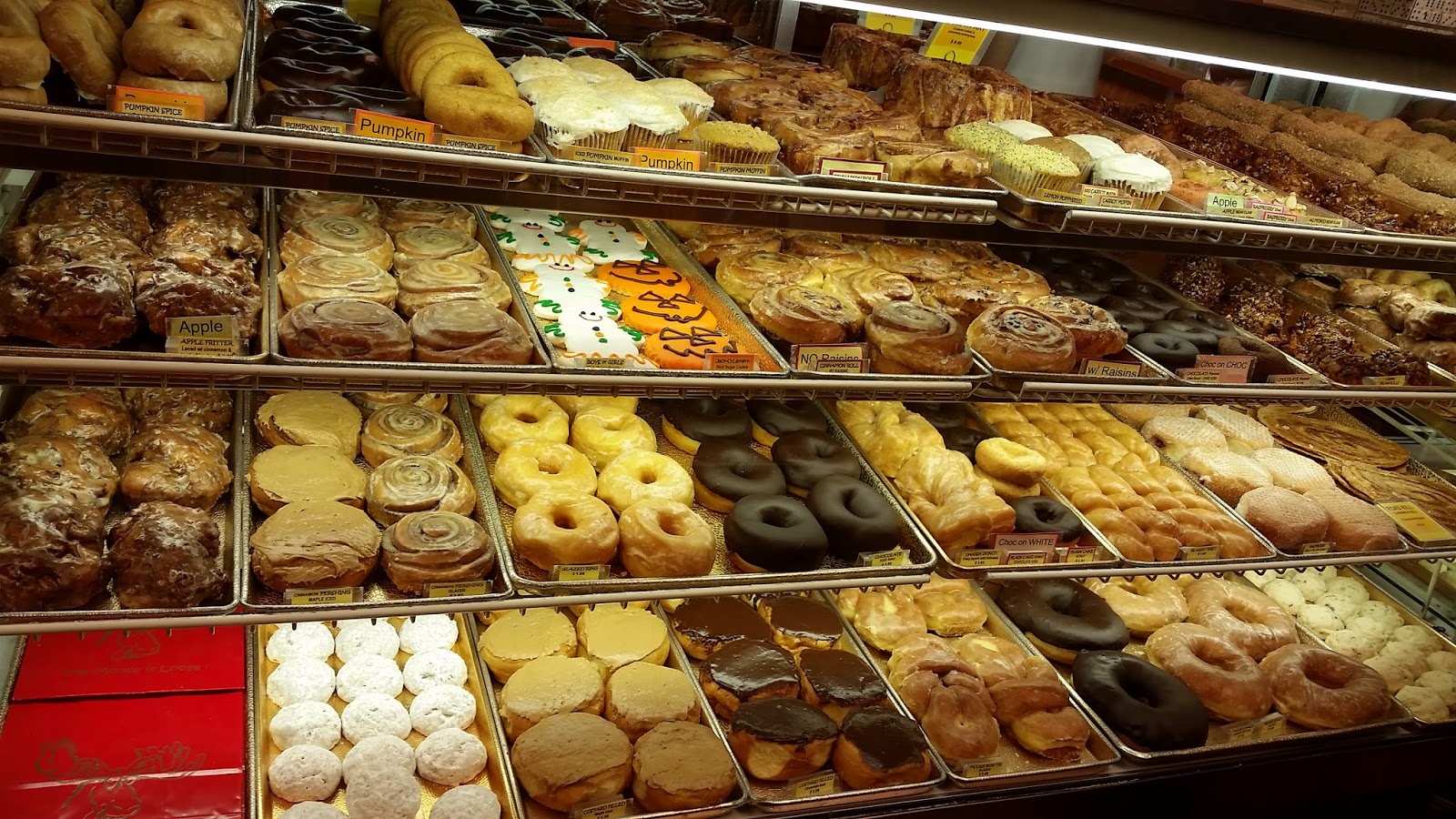 Reliving Alaska: The Moose is Loose in Soldotna