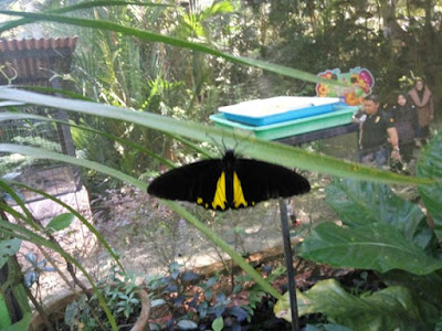 Taman Rama Rama Melaka [Review Tempat Menarik 2021]