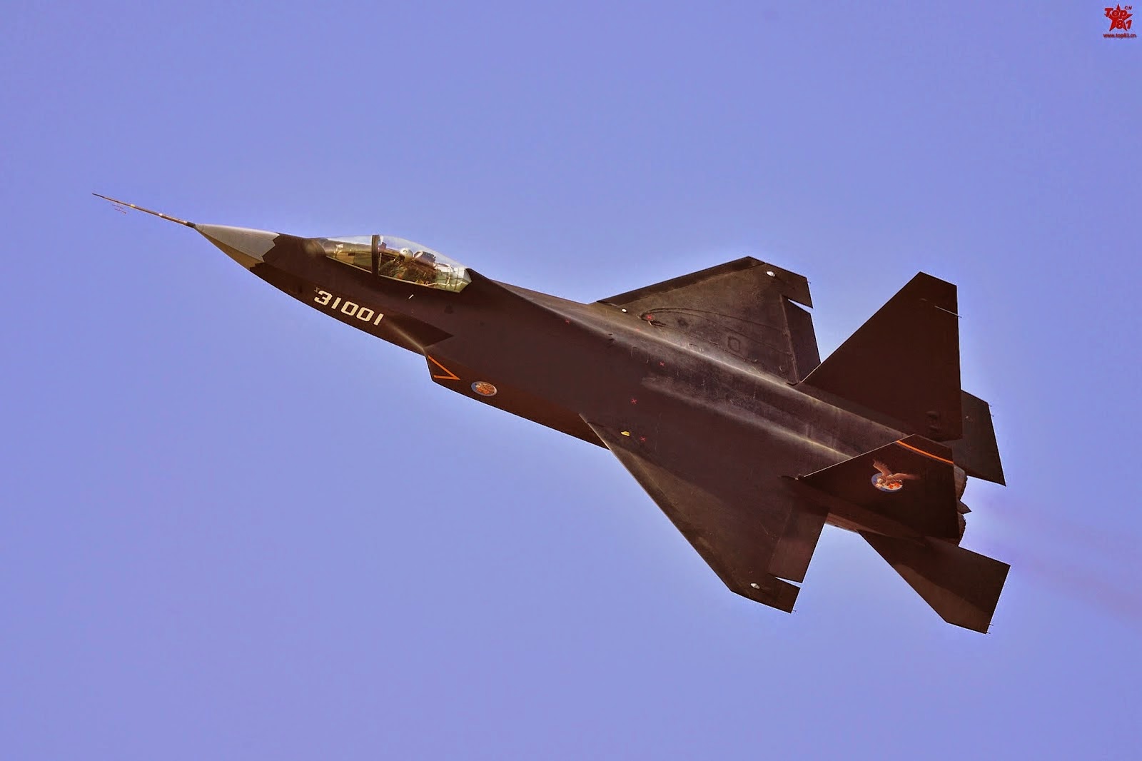The Dragon's Tales: Hi Res Chinese J-31 Stealth Fighter Pictures