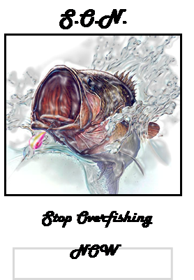 Stop Overfishing Now (SON)