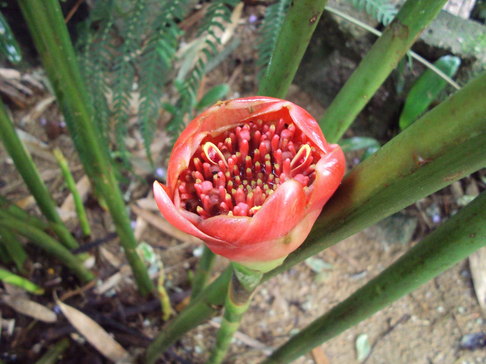 Hitam Putih Kehidupan: Oktober 2012