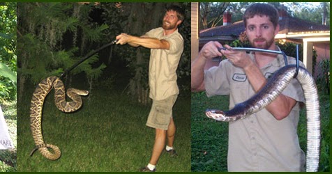 Self Reliant Network: How to Identify a Snake Species