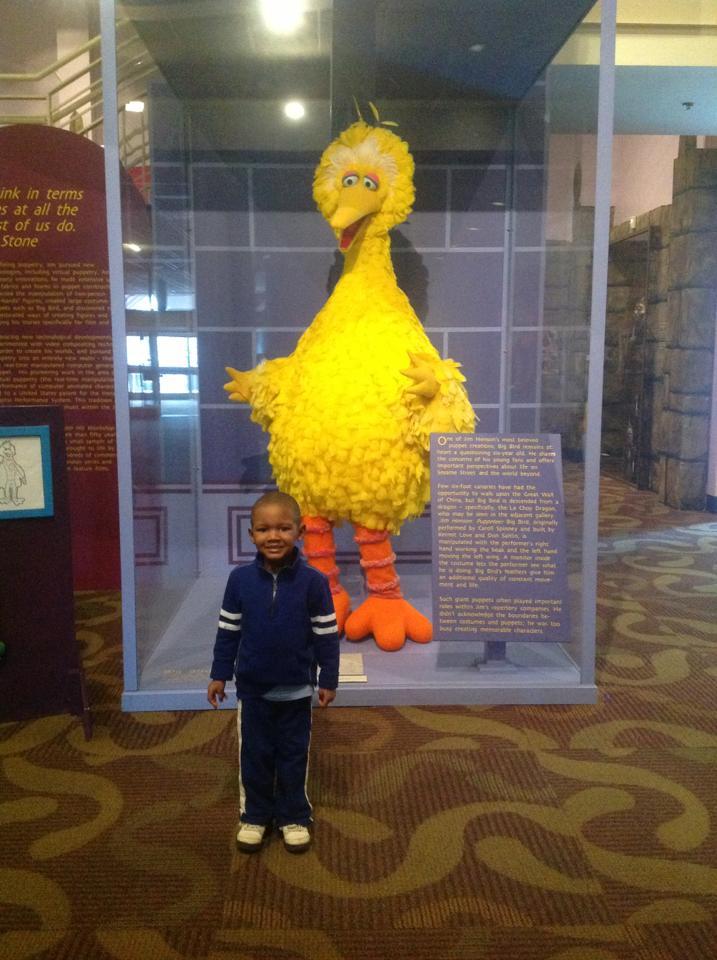 Sojourner Marable Grimmett: The Adventures of Mighty Bug!