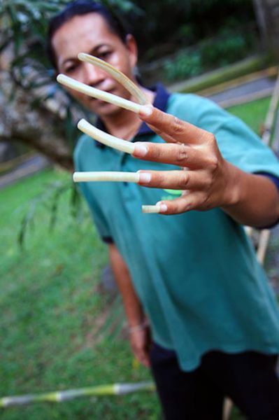 Funny Freast: Incredible long nails