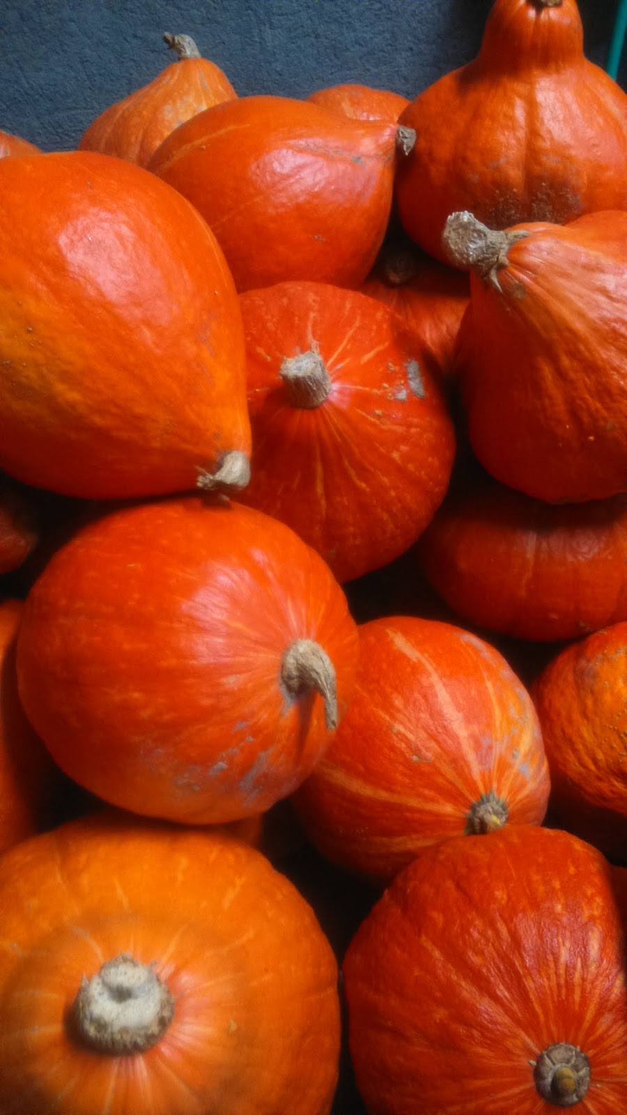 Simplyfil: La couleur des citrouilles.../ the colour of pumpkins...