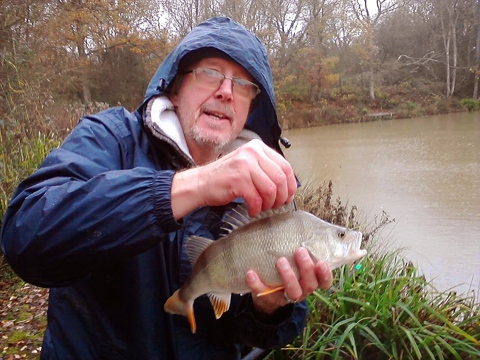 Sussex Coarse Angling with Anglers Den Sussex: Perch at Amazon Wood ...