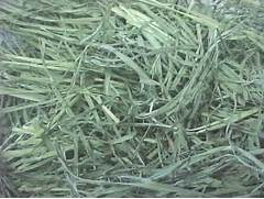 White House Farms: 2017 Premium Ky Horse Hay Delivered!