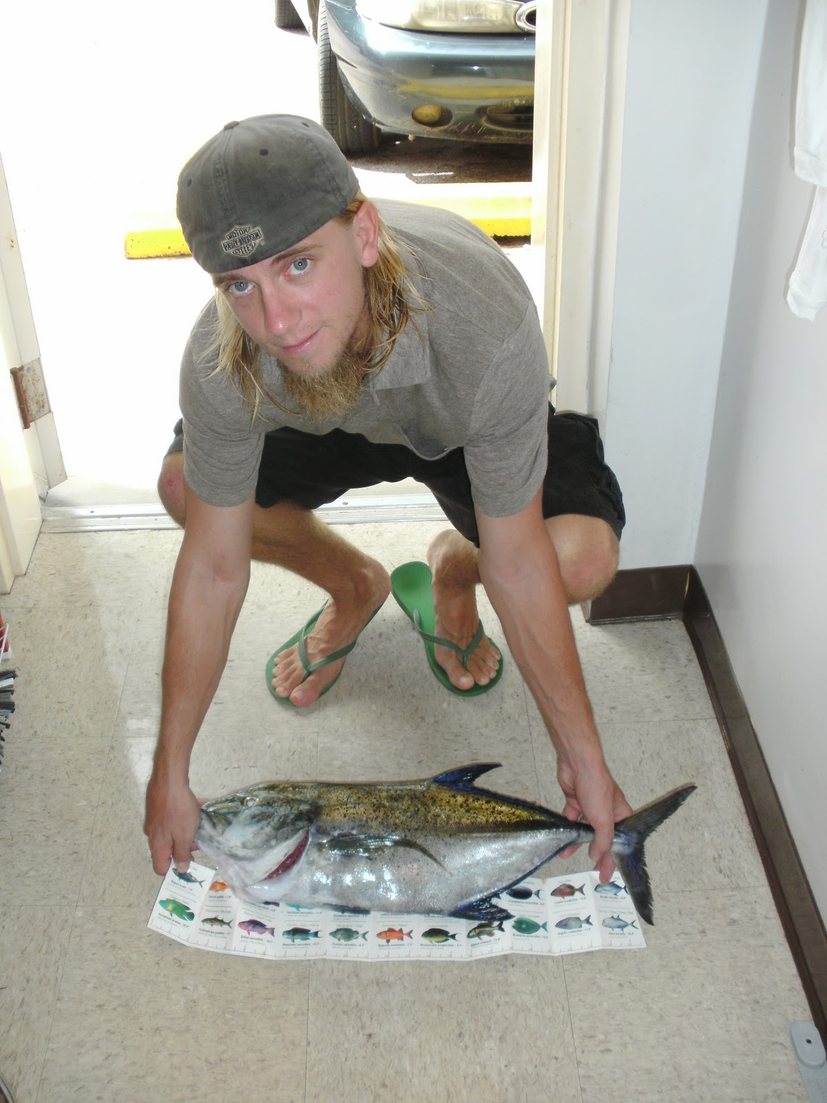 Size Matters: Contests and Winners