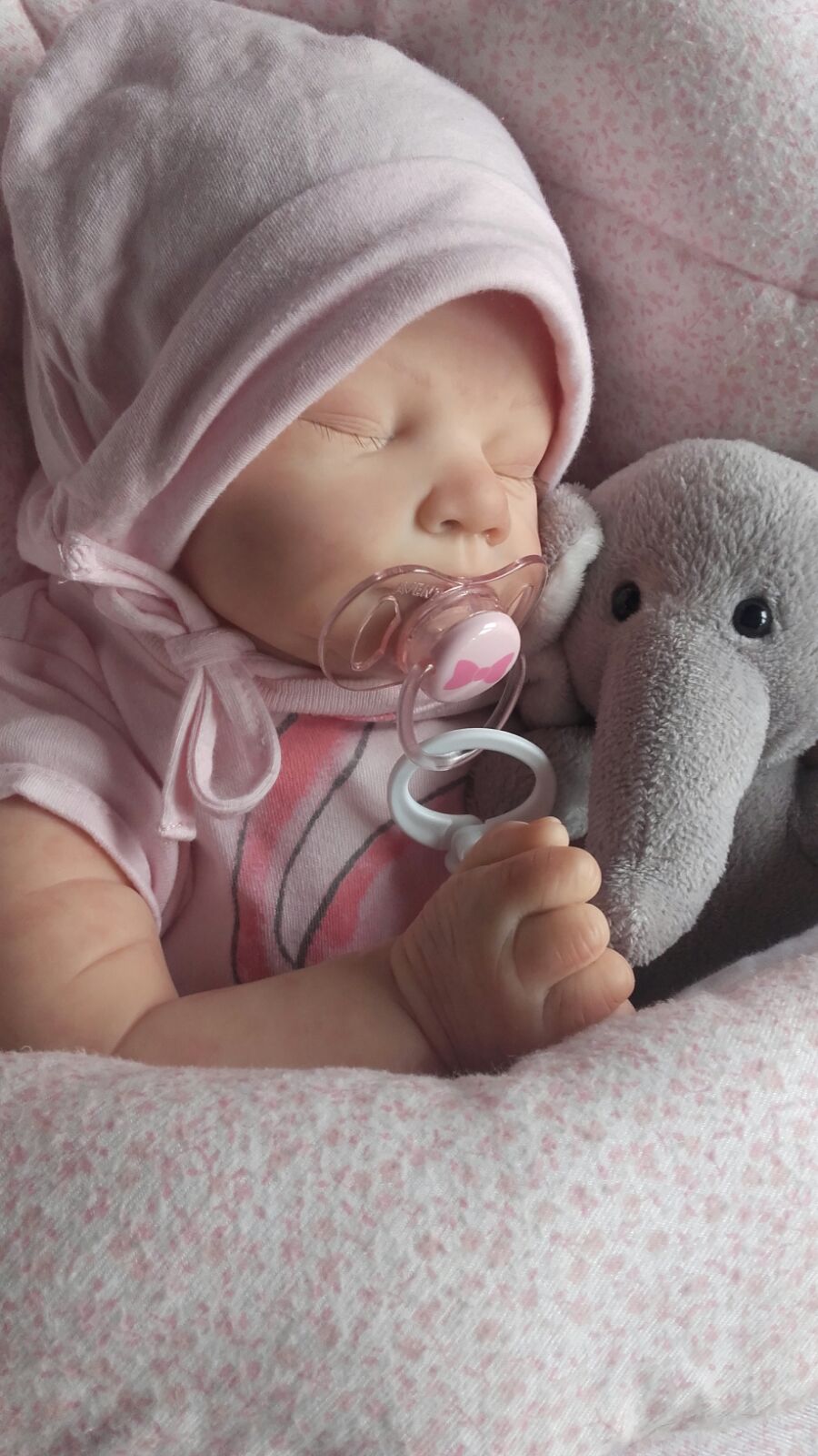 Maternity & Nursery Reborn: 2016