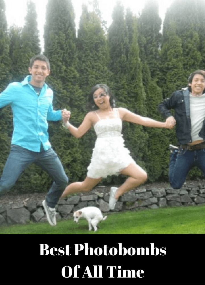 Best Photobombs Of All Time | My Crazy Email