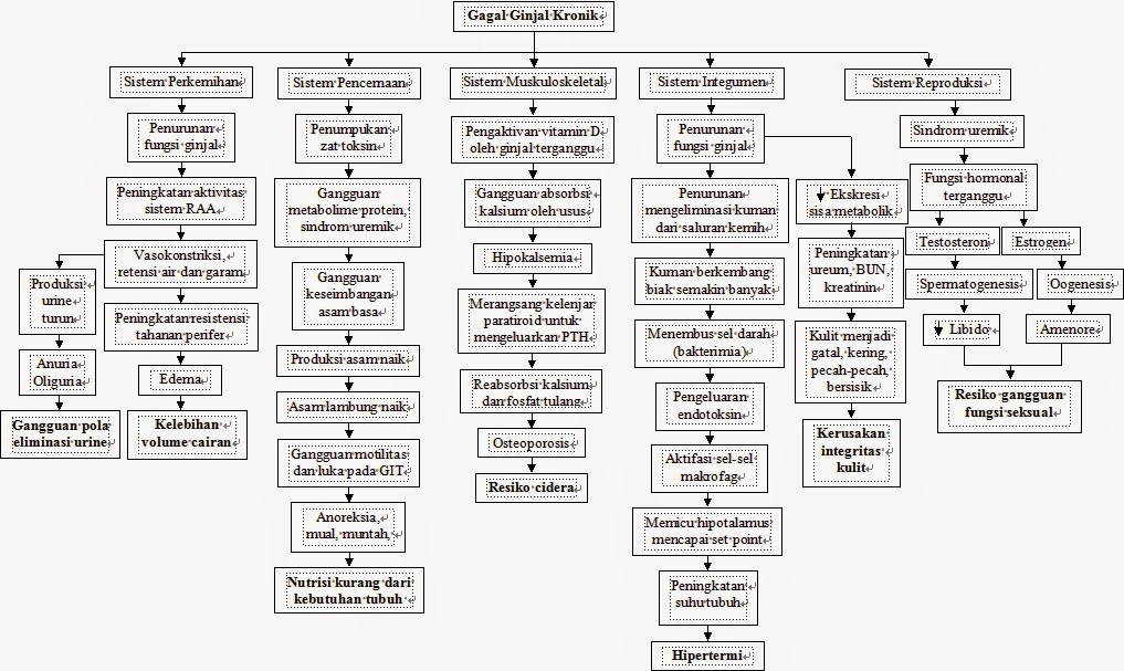 Pathways DKD-Pneumoni: WOC CKD