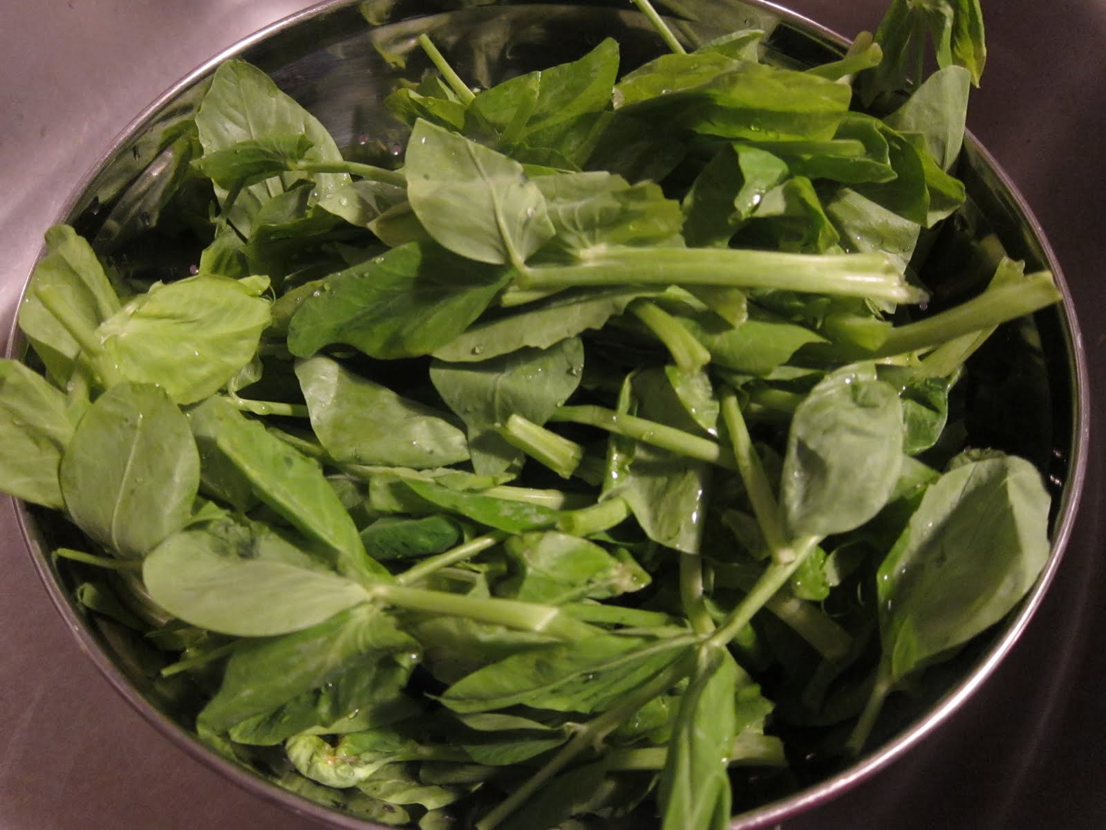 Nom Monsters: // sauteed snow pea tips