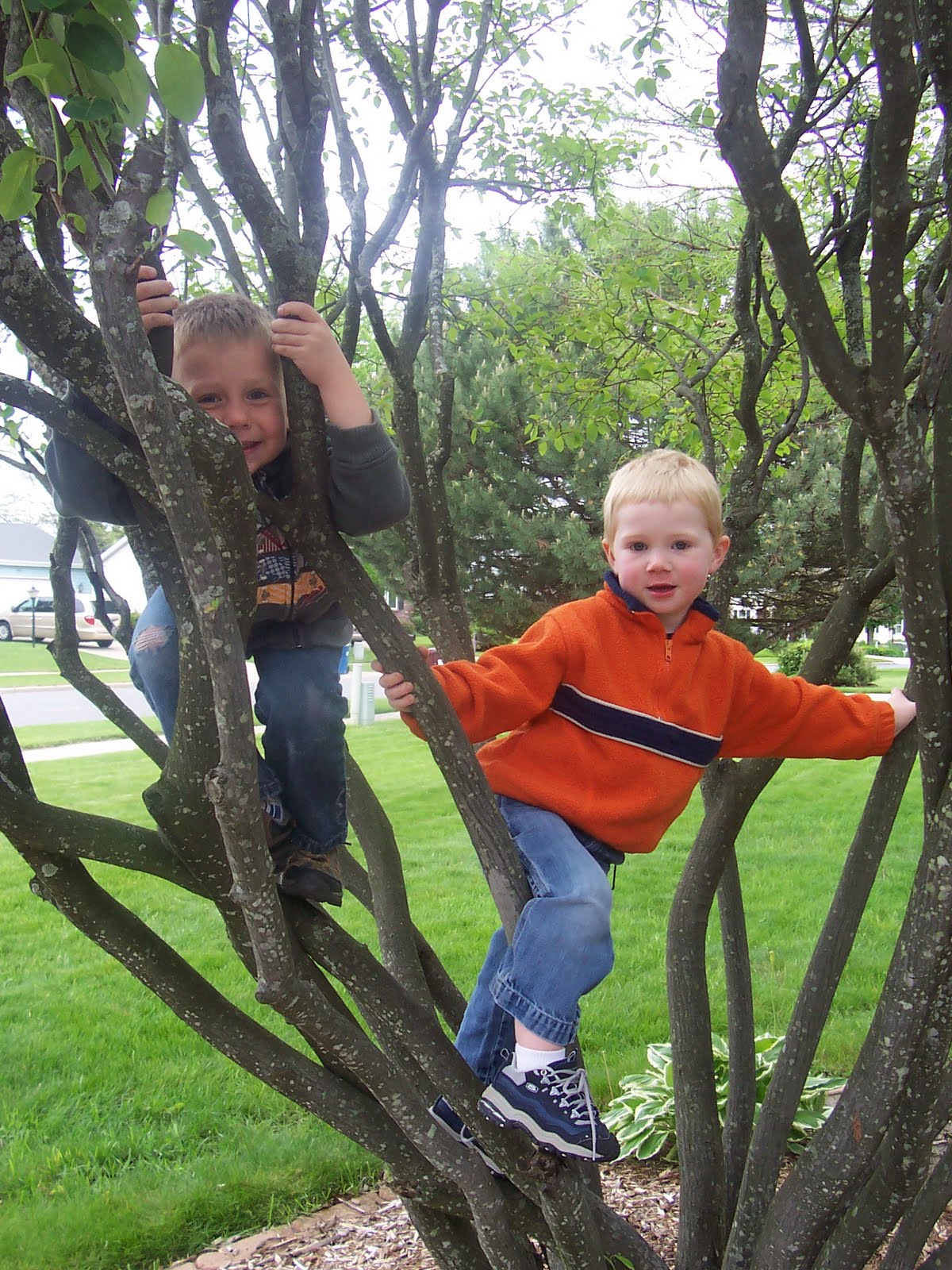 Of Determined Purpose: May 27: Boys in Trees