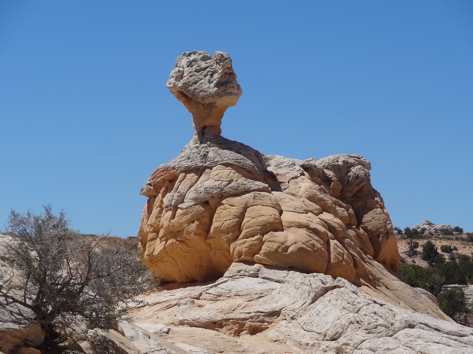 Vaughan and Julie - Crazy Trips: Westward 2013 (5/3: White Pockets ...