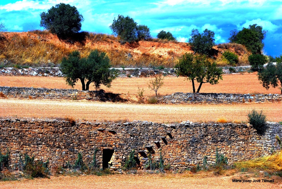 Rutes de Natura al Sud de la Segarra