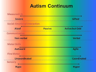 Raising My Little Superheroes : Autism is A Spectrum