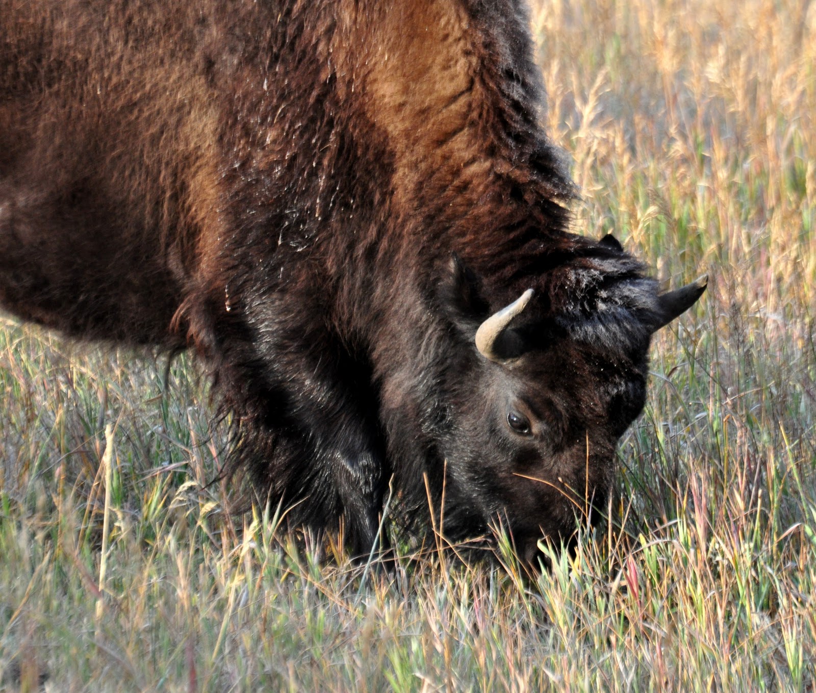 Through The Looking Glass: In the Throne Room of the Mountain Gods ...