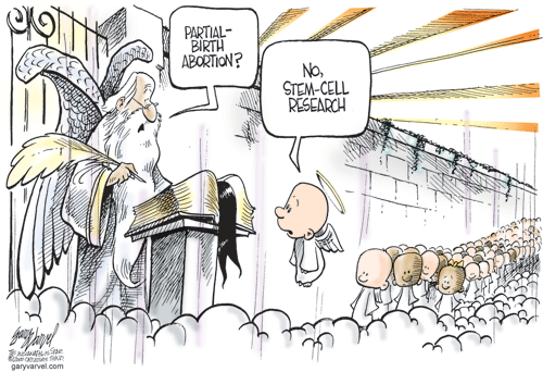 Stem Cell Research and Human Cloning: Political Cartoon