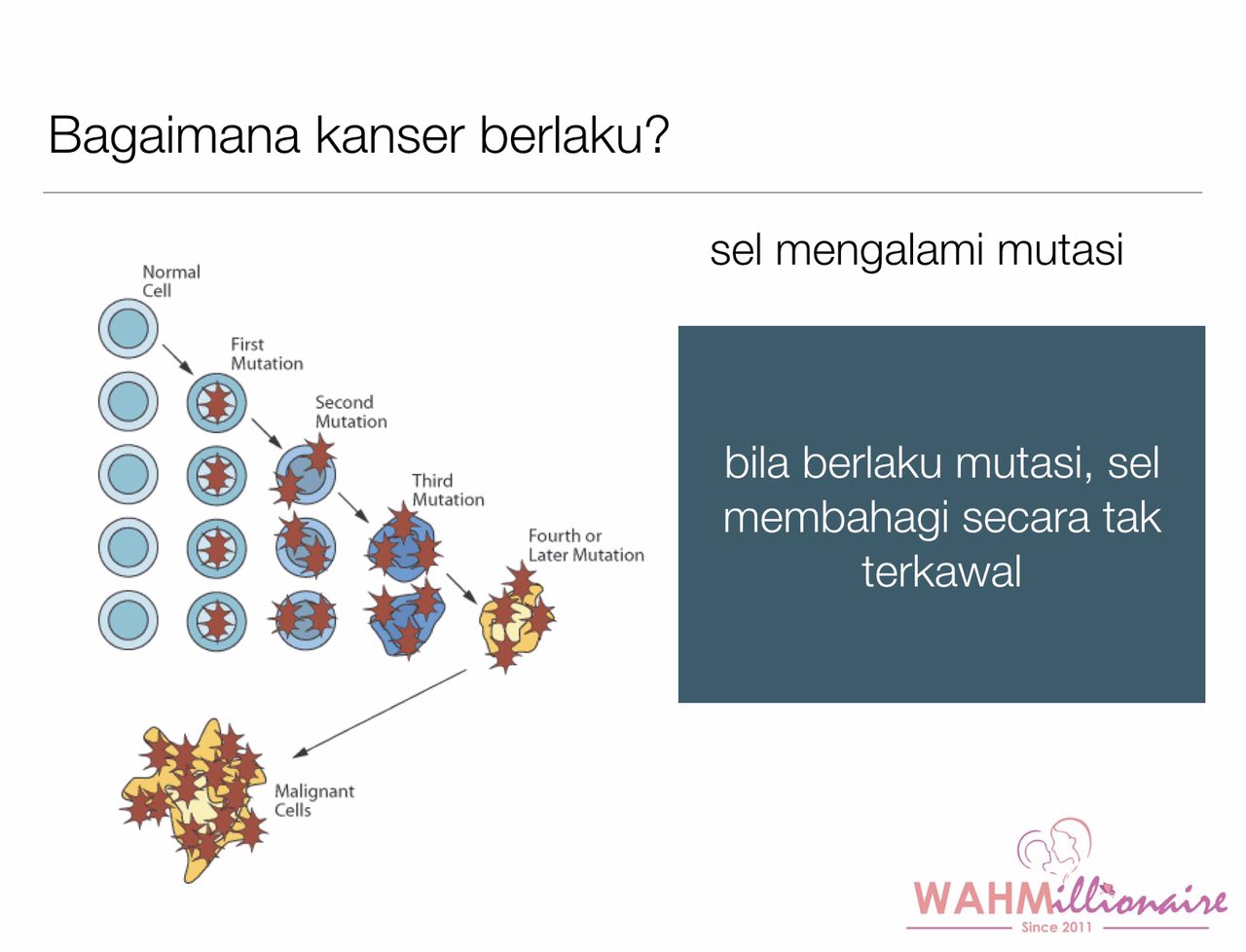 Cara untuk mematikan sel kanser dari terus merebak | permatahatibidadariku