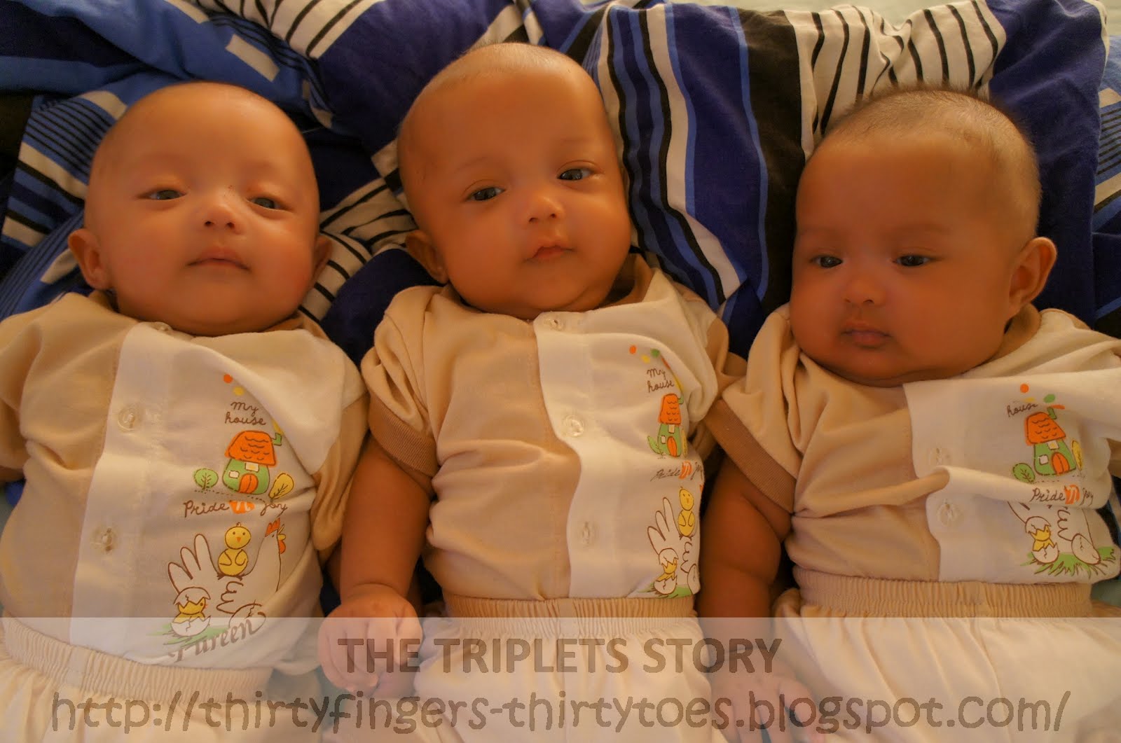 The triplet.... and how they're raising their parents: The Triplets at ...