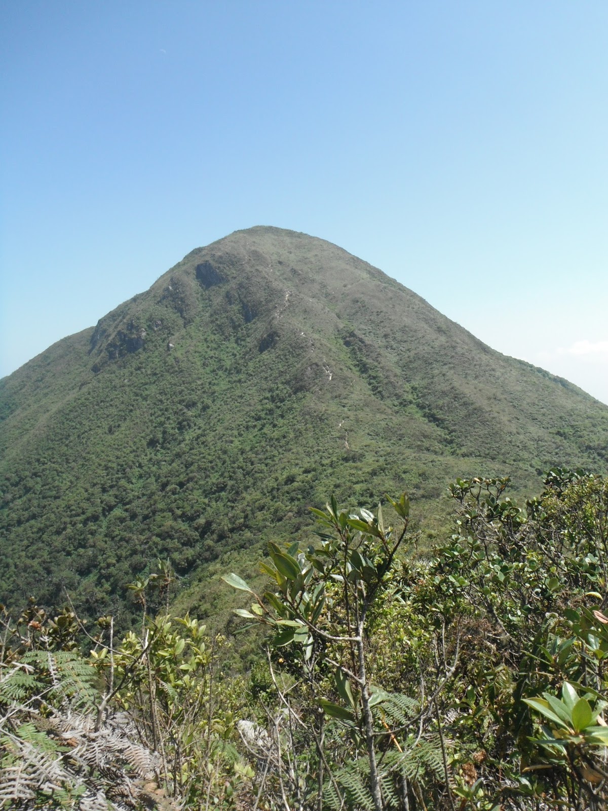 El Avila para principiantes: Sabas Nieves- El Banquito- No te apures ...