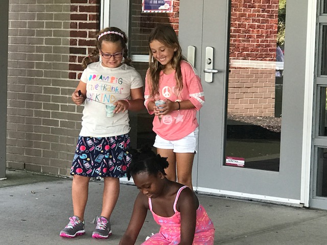 STEM Pom Pom Launchers