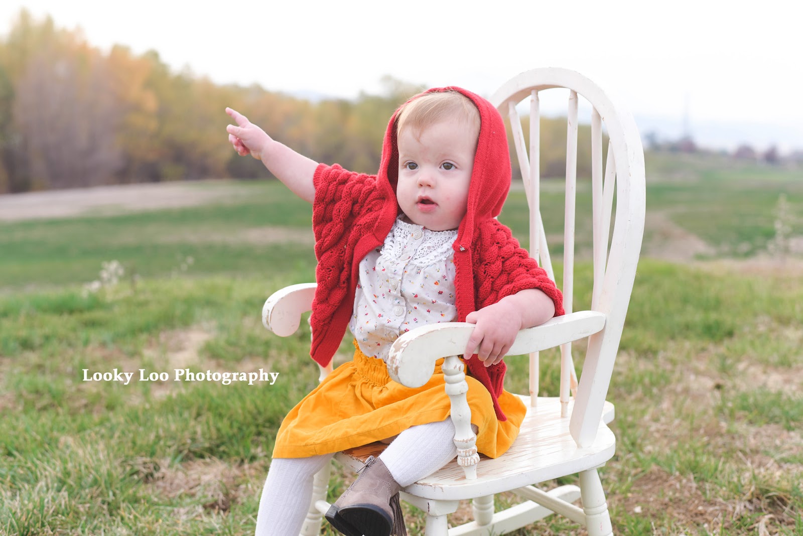 Looky Loo Photography