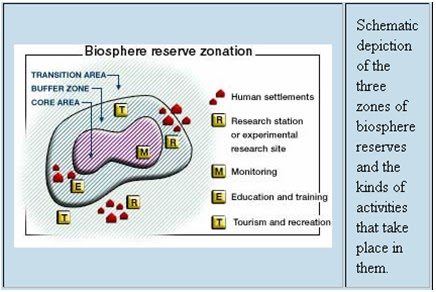 Wildlife:Ecology and Conservation: Biosphere Reserves - Key Concepts